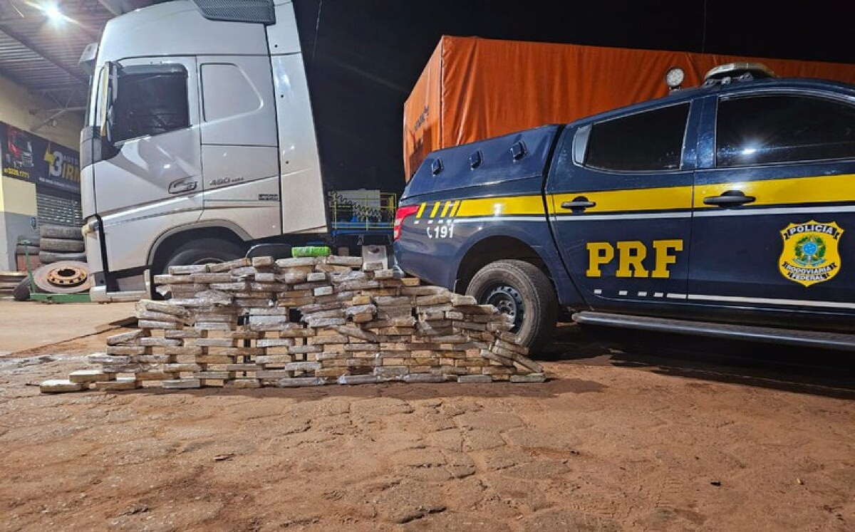 Cães Farejadores Da Prf Encontram 126 Kg De Cocaína Escondidos Em