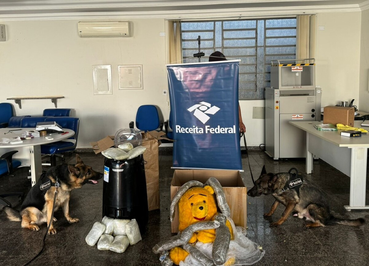 Cães Farejadores Da Receita Federal Encontram Mais De 5 Kg De Skunk