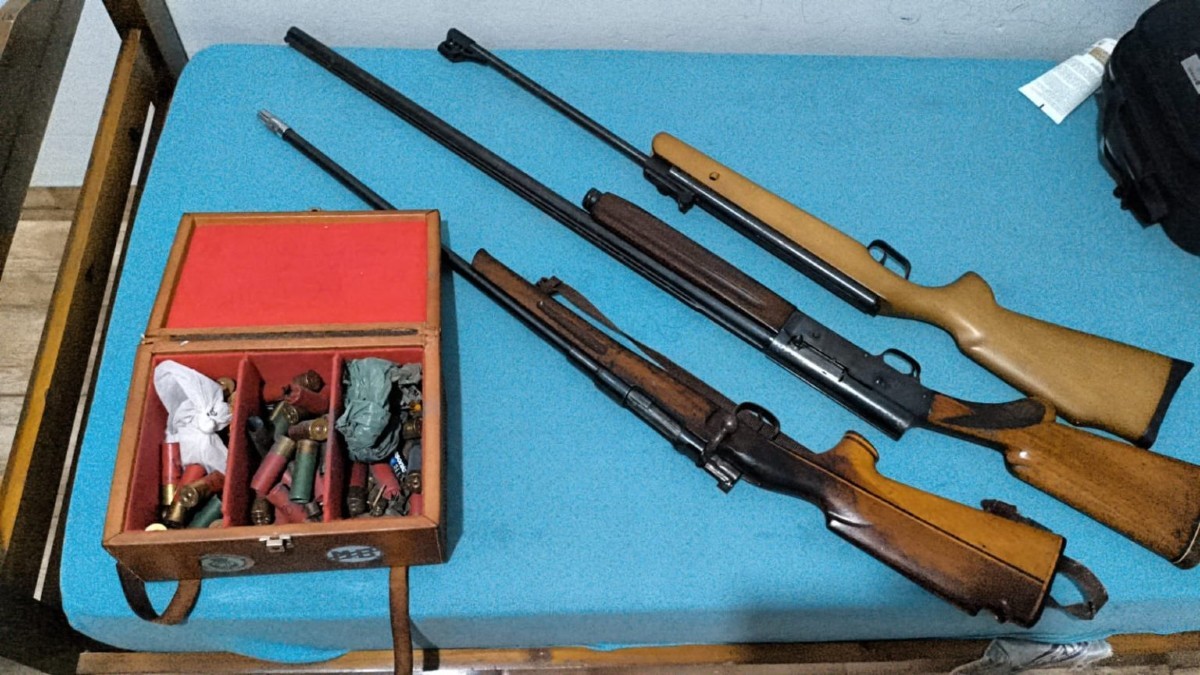DAM de Nova Andradina apreende armas e munições durante operação em ...